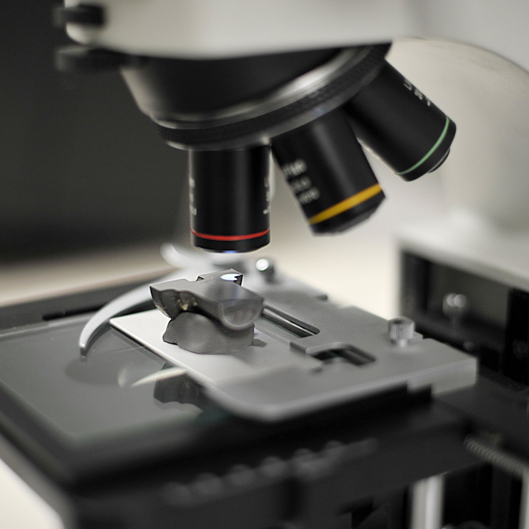 Microscopie - ANDRÉ LAURENT